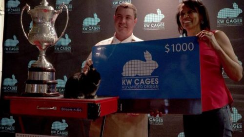 Blog - Rabbit Smarties