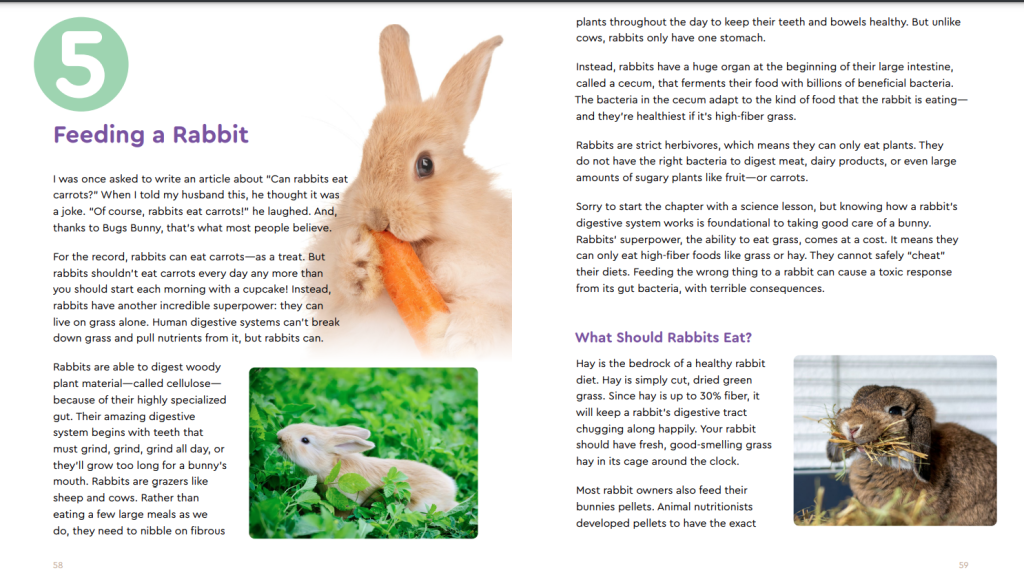 My First Pet Rabbit: Care Guide for Kids - Rabbit Smarties